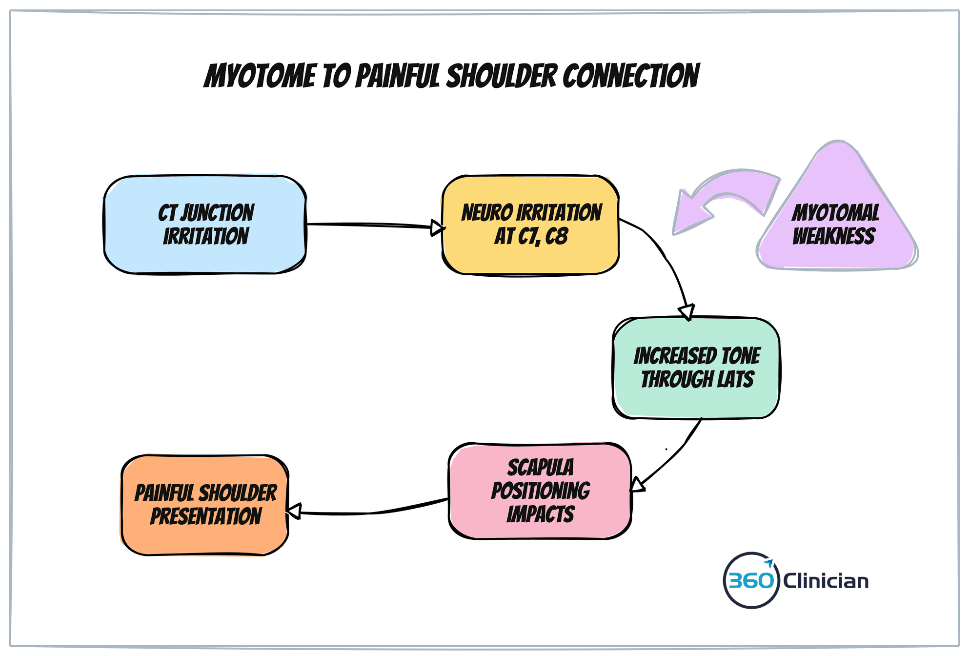 A Fresh Look at Myotome Testing: A Key to Unlocking Better Shoulder ...